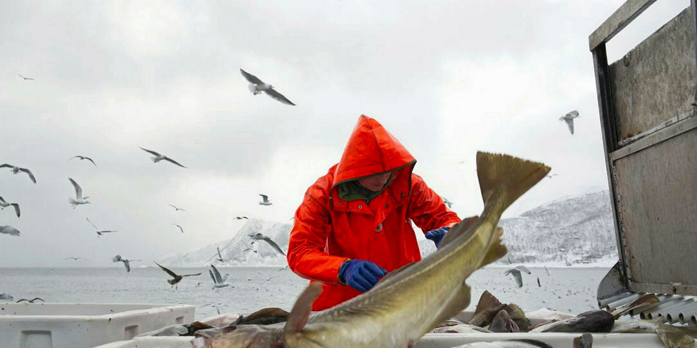 Russia, Norway set 2019 Barents Sea cod, haddock quotas | IntraFish.com