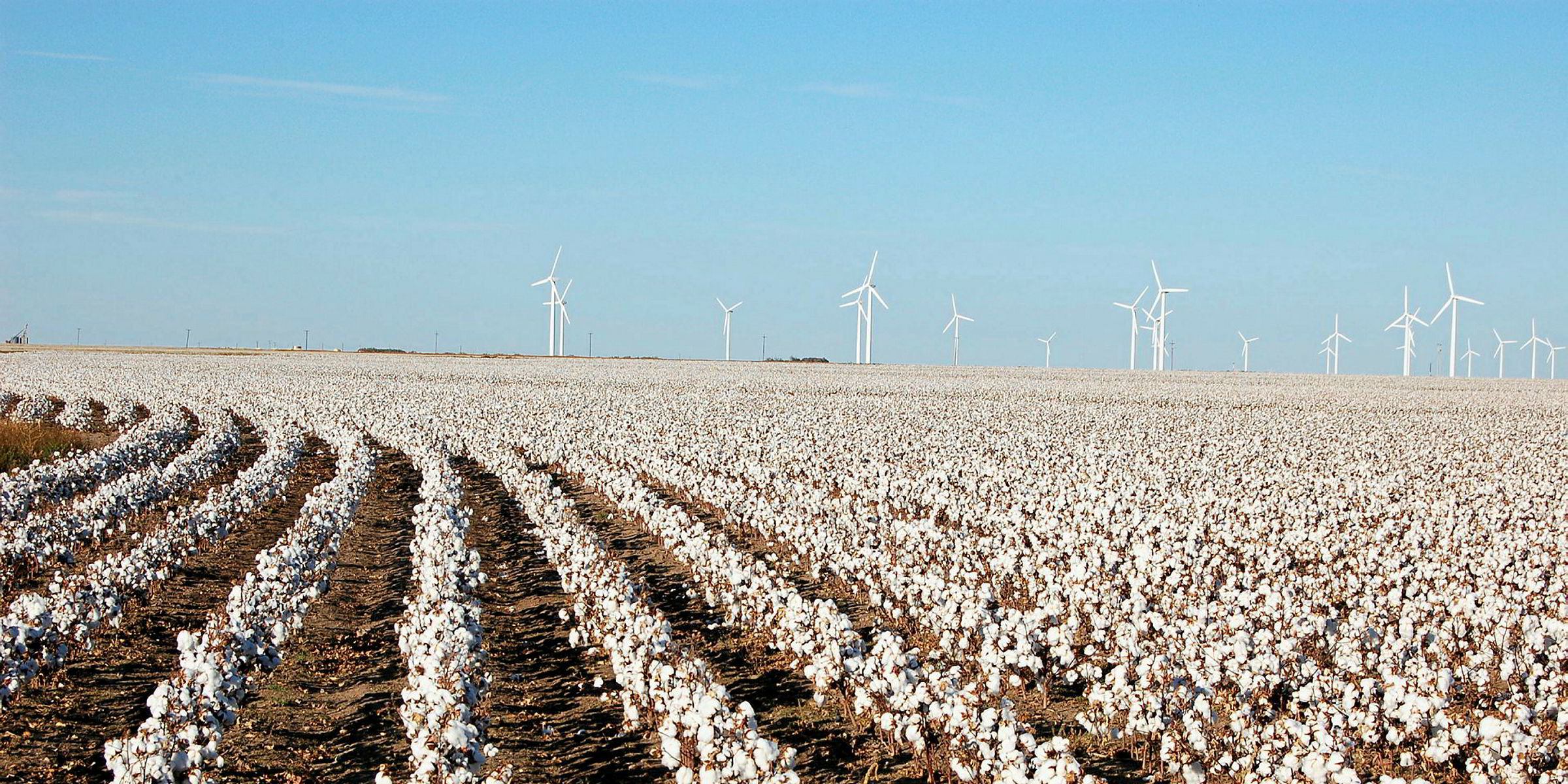 Texas High Plains nervously awaits US tax reform outcome | Recharge