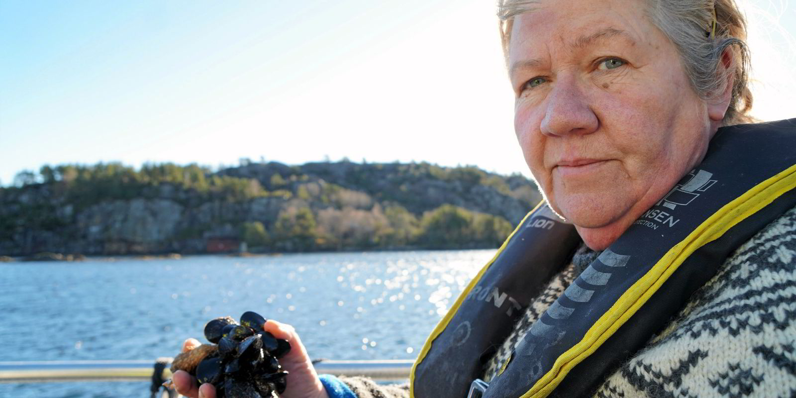 «Hissig», japansk sjøpung funnet i Stavanger havn | Fiskeribladet