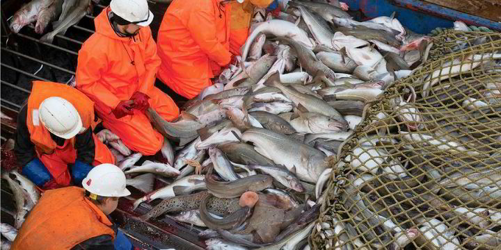 Russia shrugs off impact of expanded US pollock import ban: 'It is ...