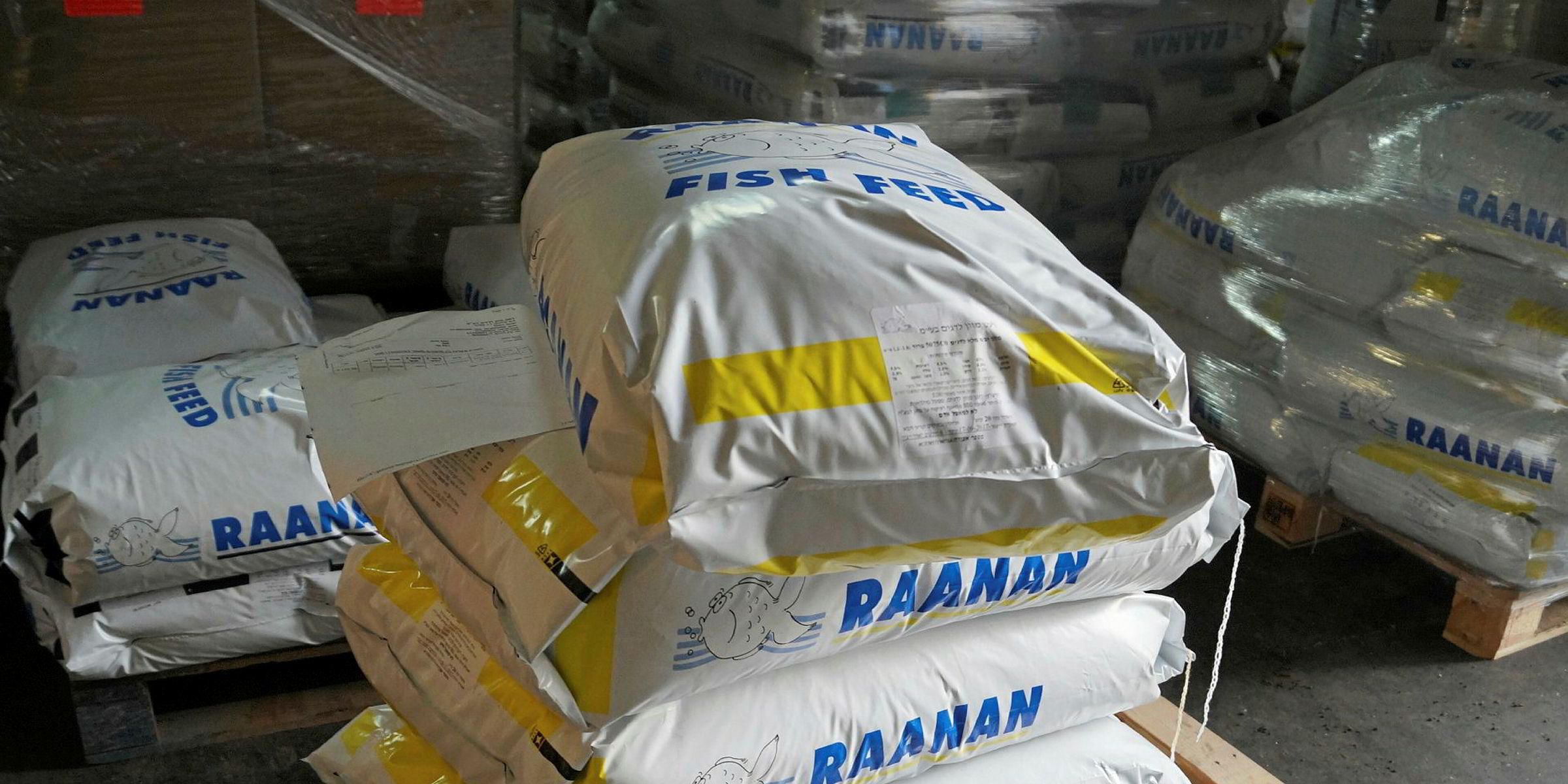 Israeli fish feed company to double production within 5 years ...