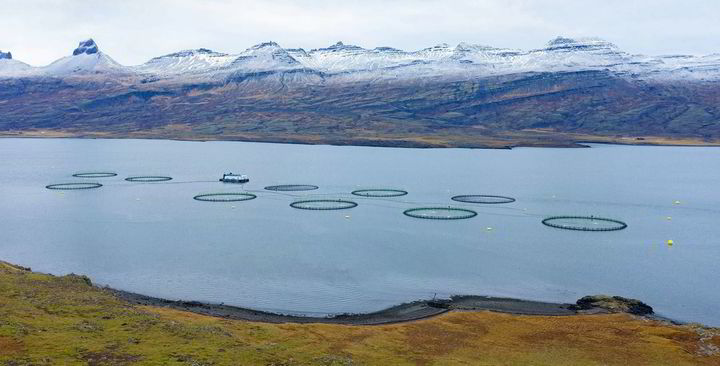 Ned for Ice Fish Farm | IntraFish.no