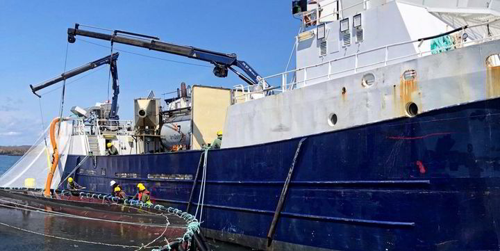 Mowi incurs multi-million dollar losses from Canada East restructuring ...