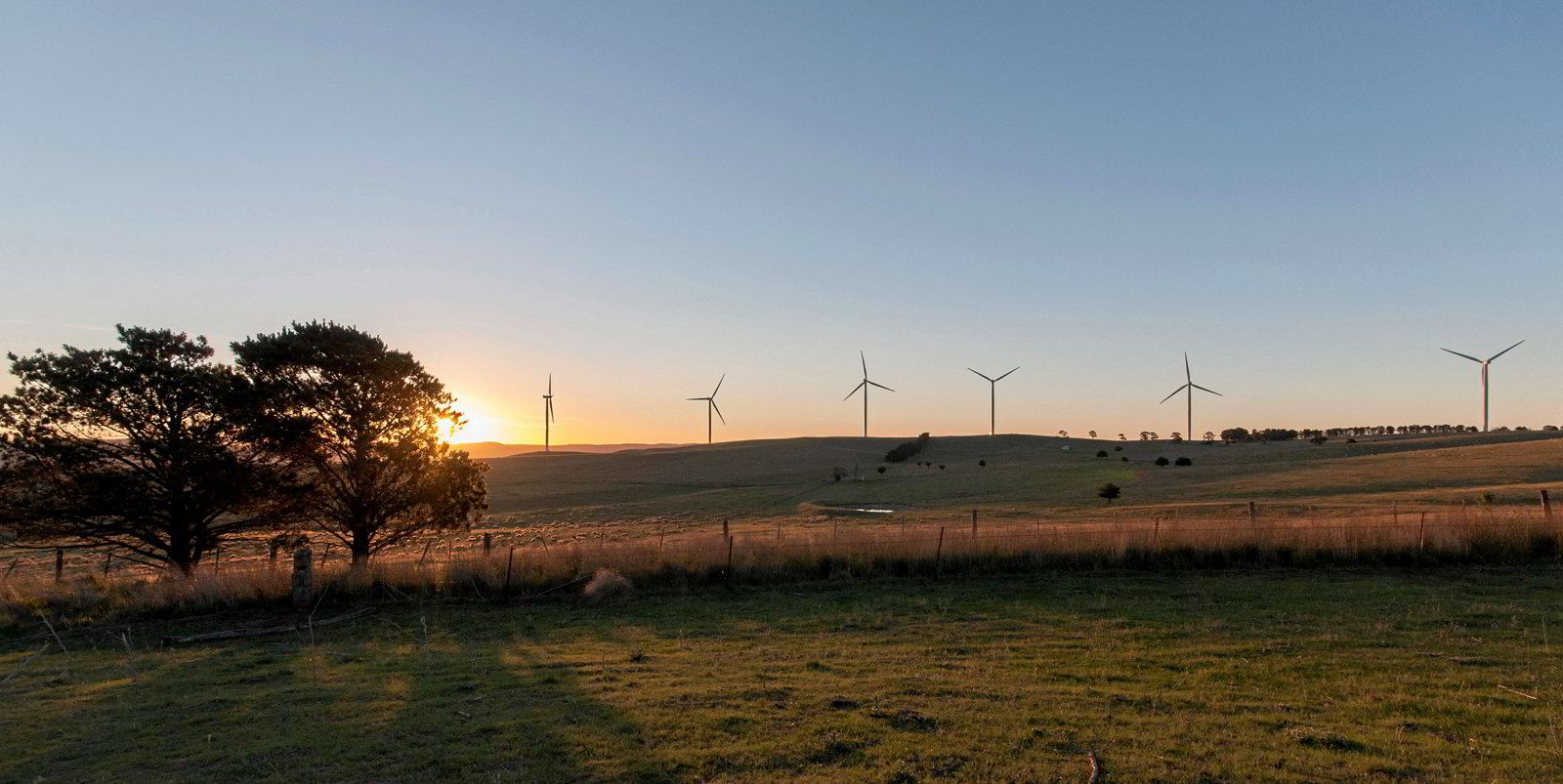 'Broader commitment' | Iberdrola buys rights to gigascale wind project ...