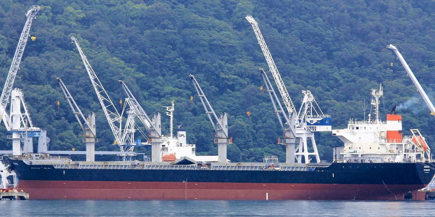 Union Bulk co-founder makes shock exit from bulker operator | TradeWinds