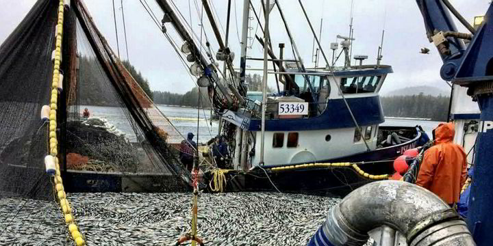 Alaska releases 2019 herring forecast | IntraFish.com