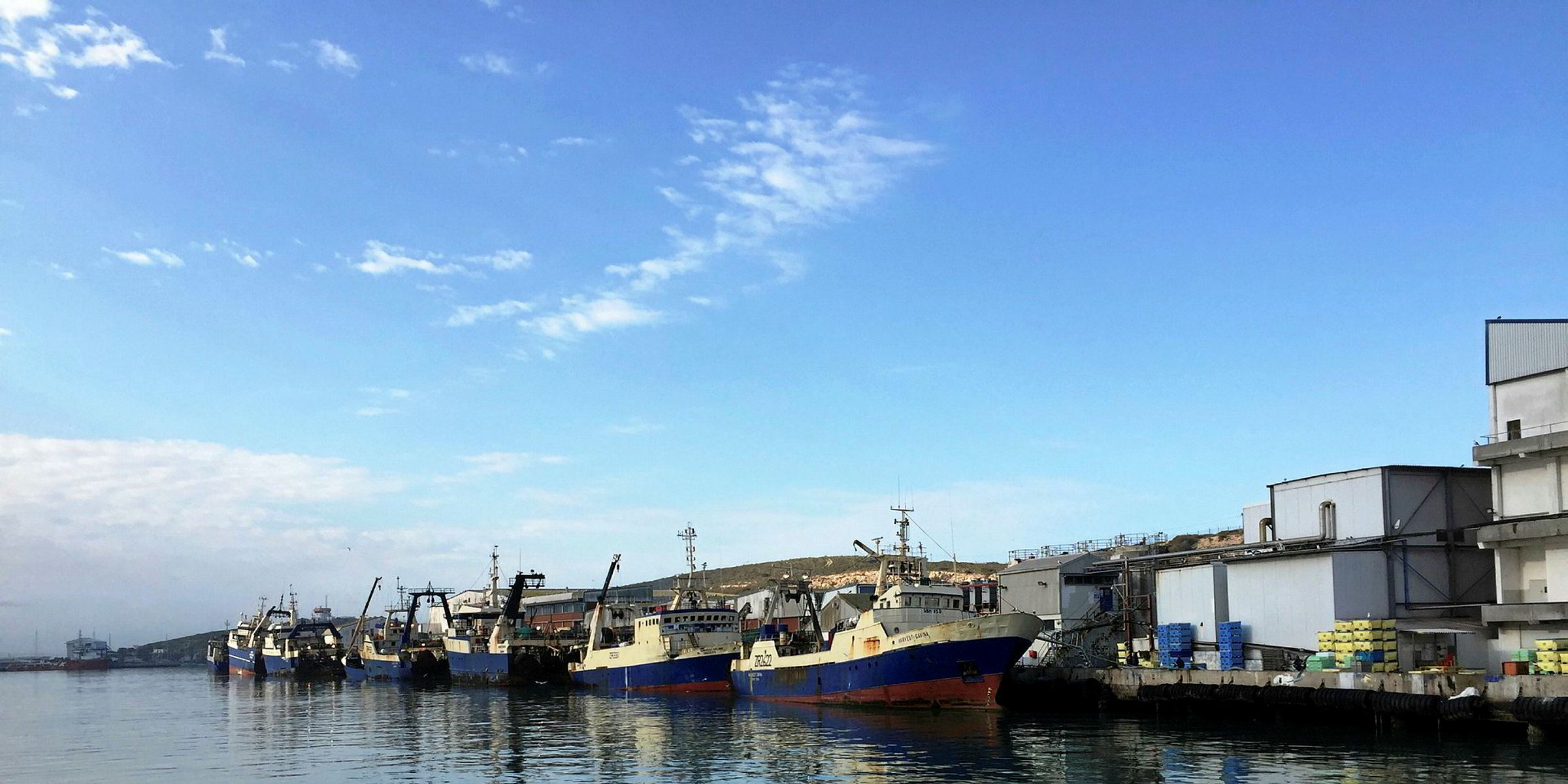 Sea Harvest's profit growth curbed by Viking acquisition | IntraFish.com