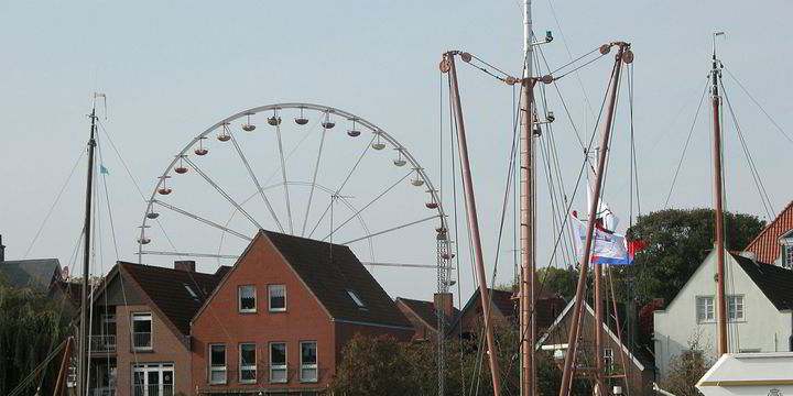 Boxship rally too late for former Buss ships | TradeWinds