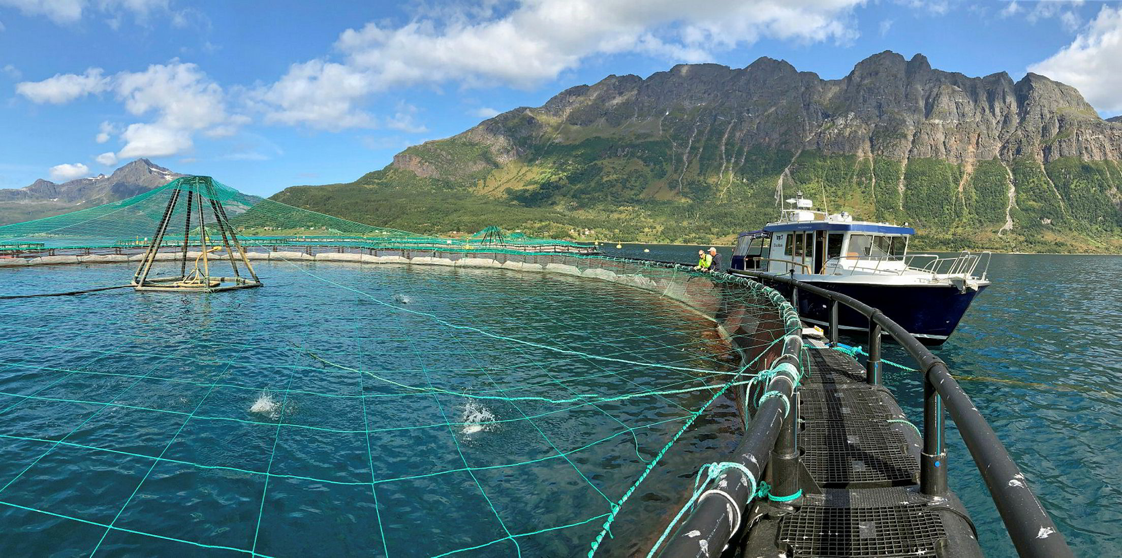 Ellingsen Seafood is bracing to avoid a new algal bloom disaster ...