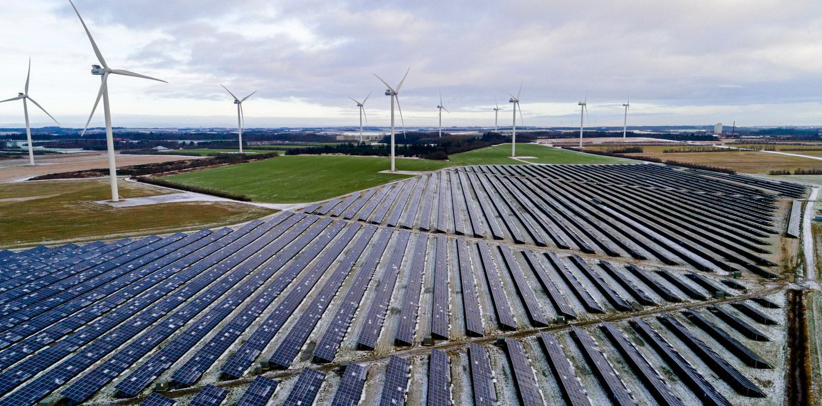 Renewables' year of resilience, oil gets serious about green shift ...