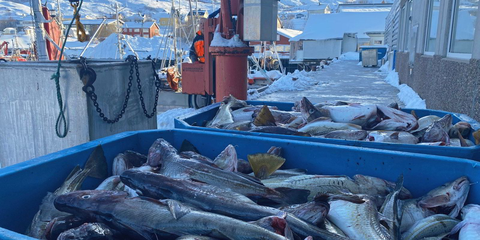 «Haill», dans og seksuell trakassering opp i retten på nytt | Fiskeribladet