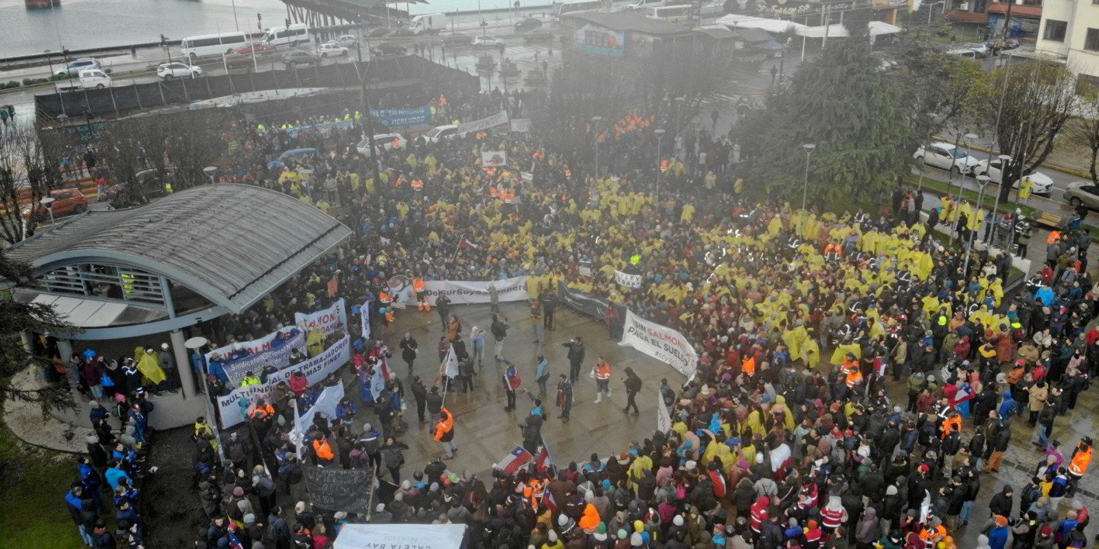 Massive Chile salmon industry protests praised for speed and ...