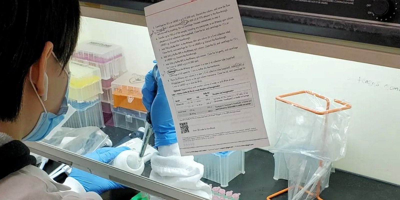 Cuna Del Mar Backed Aquaculture Genetics Group Expands Breeding