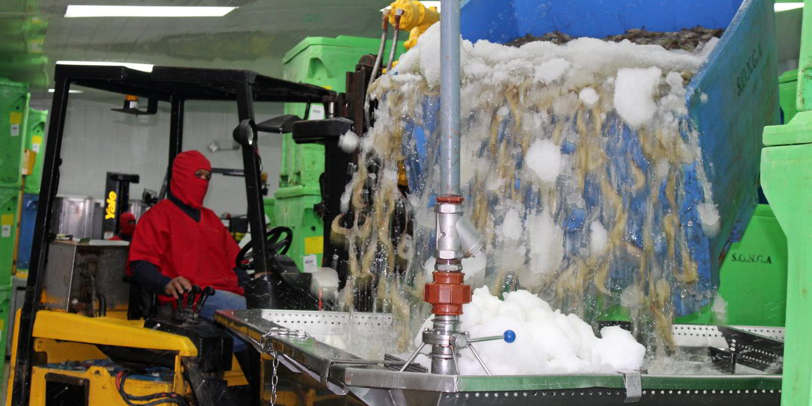 Ecuador farmed shrimp exports blow 2021 numbers out of the water with ...