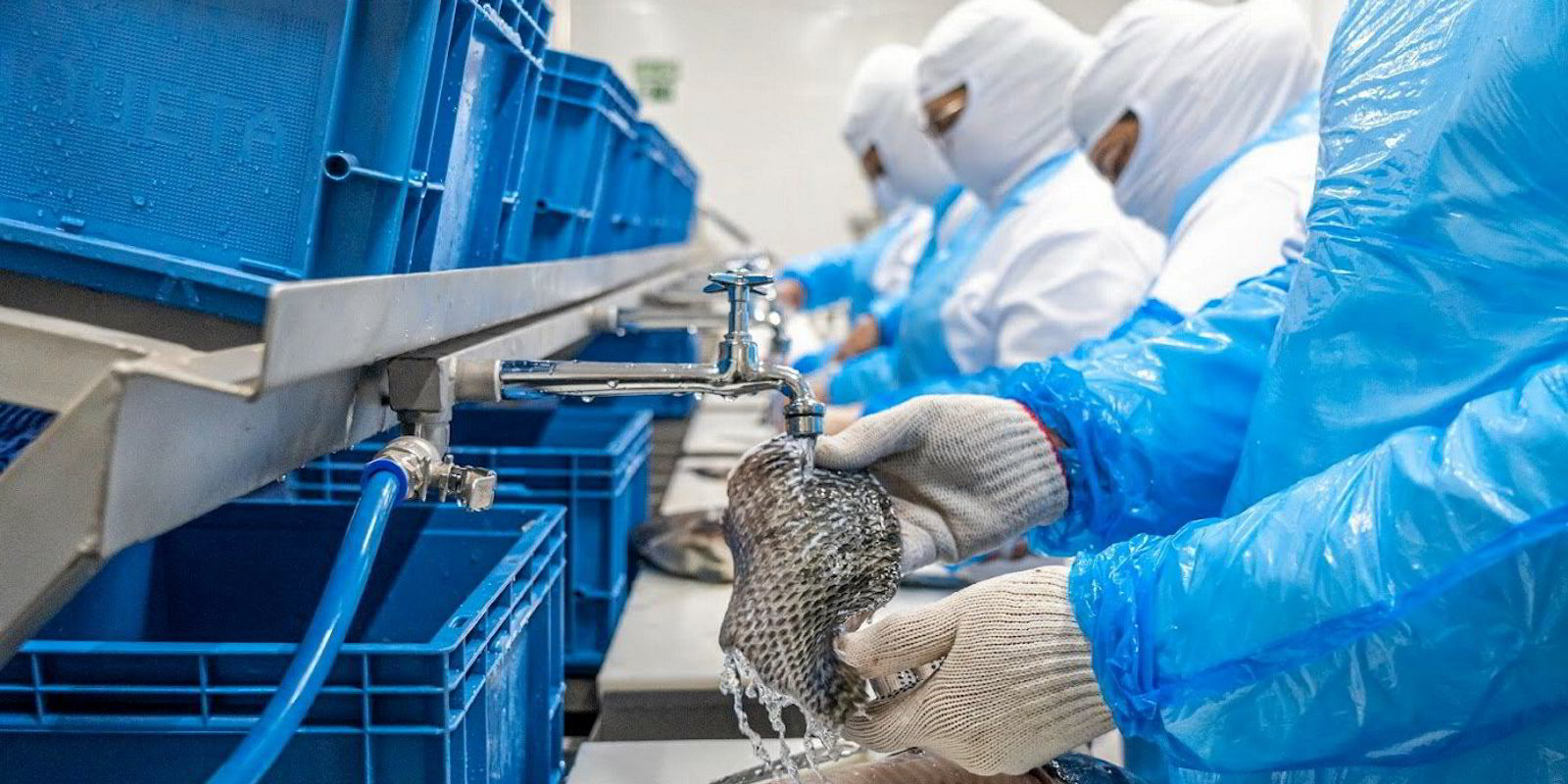 With new private equity backing, Brazil's Tilabras targets over 50% ...