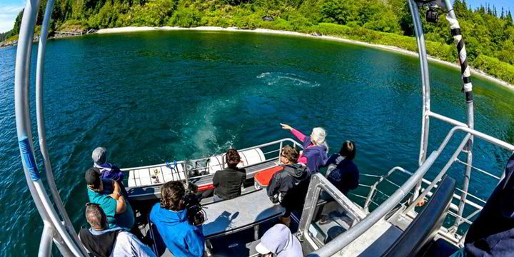 First Nations agreement brings salmon farm expansion for Grieg closer ...