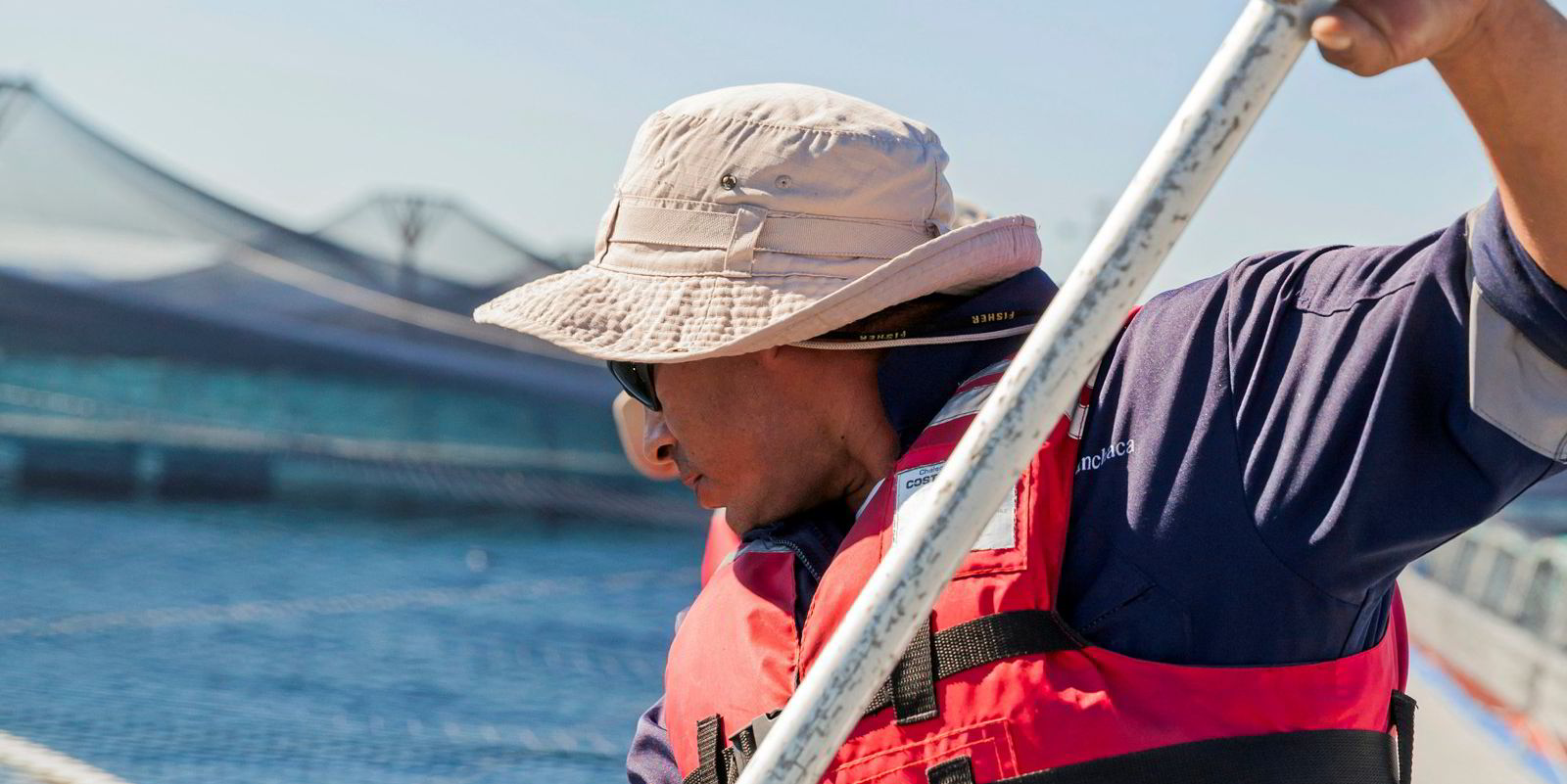 Higher farmed salmon prices, sales volumes lift Camanchaca Q3 earnings ...