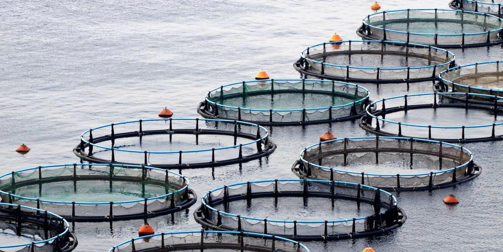 SalMar-owned Icelandic salmon farmer Arnarlax fined over reporting of ...