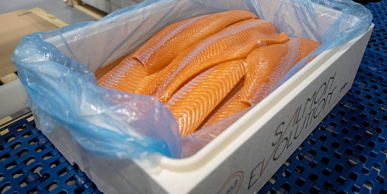 Land-based farmer Salmon Evolution completes first harvest | IntraFish.com