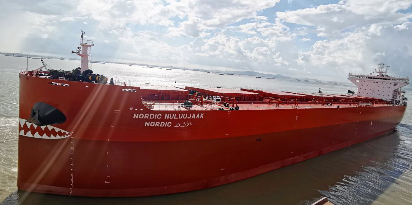 Pangaea Logistics starts taking new ice-class ships at 'just the right ...