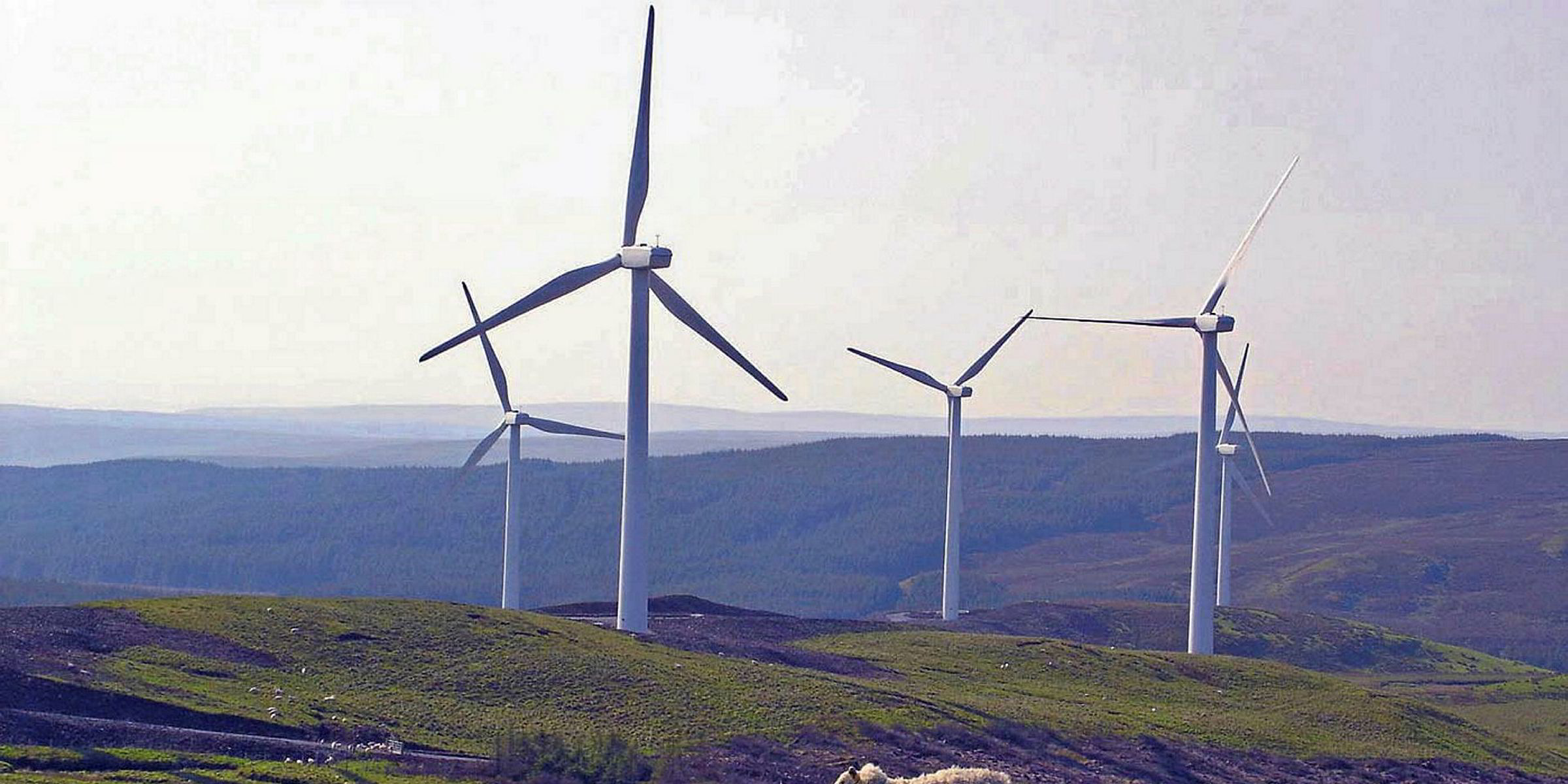 Welsh government sets 70% RE target for 2030 | Recharge