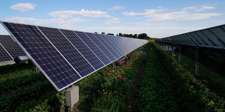 Shell ramps up solar ambitions with swoop for 'compelling fit' Savion ...