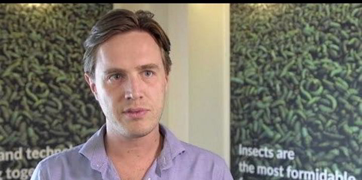 Global food giant Tyson joins with insect meal producer Protix to ...