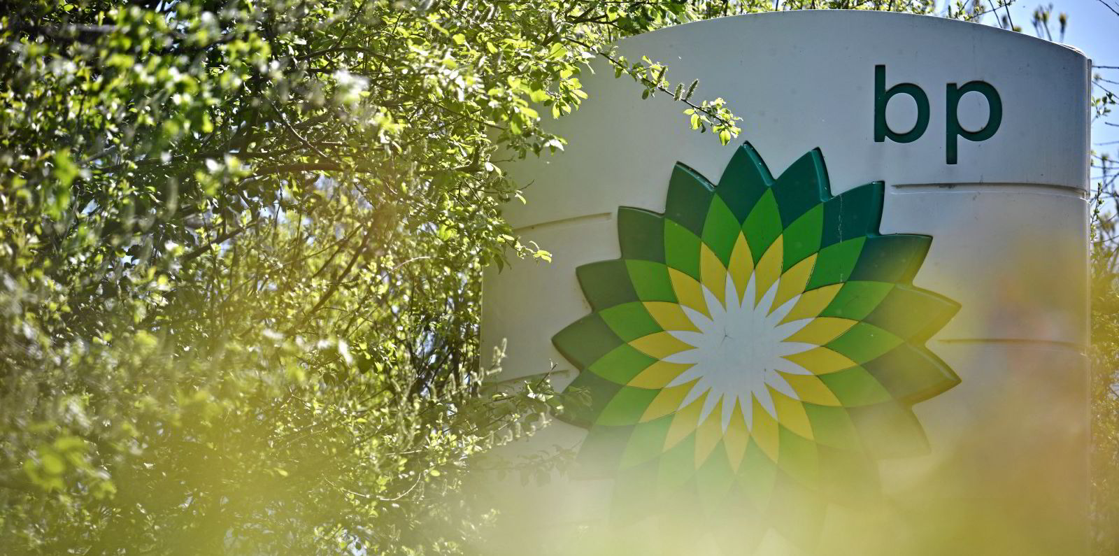 BP stake swoop to lead $36bn Asian Renewable Energy Hub green hydrogen ...