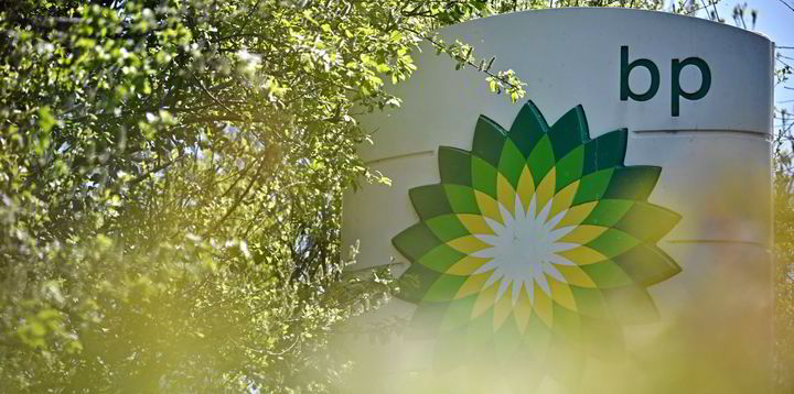 BP stake swoop to lead $36bn Asian Renewable Energy Hub green hydrogen ...