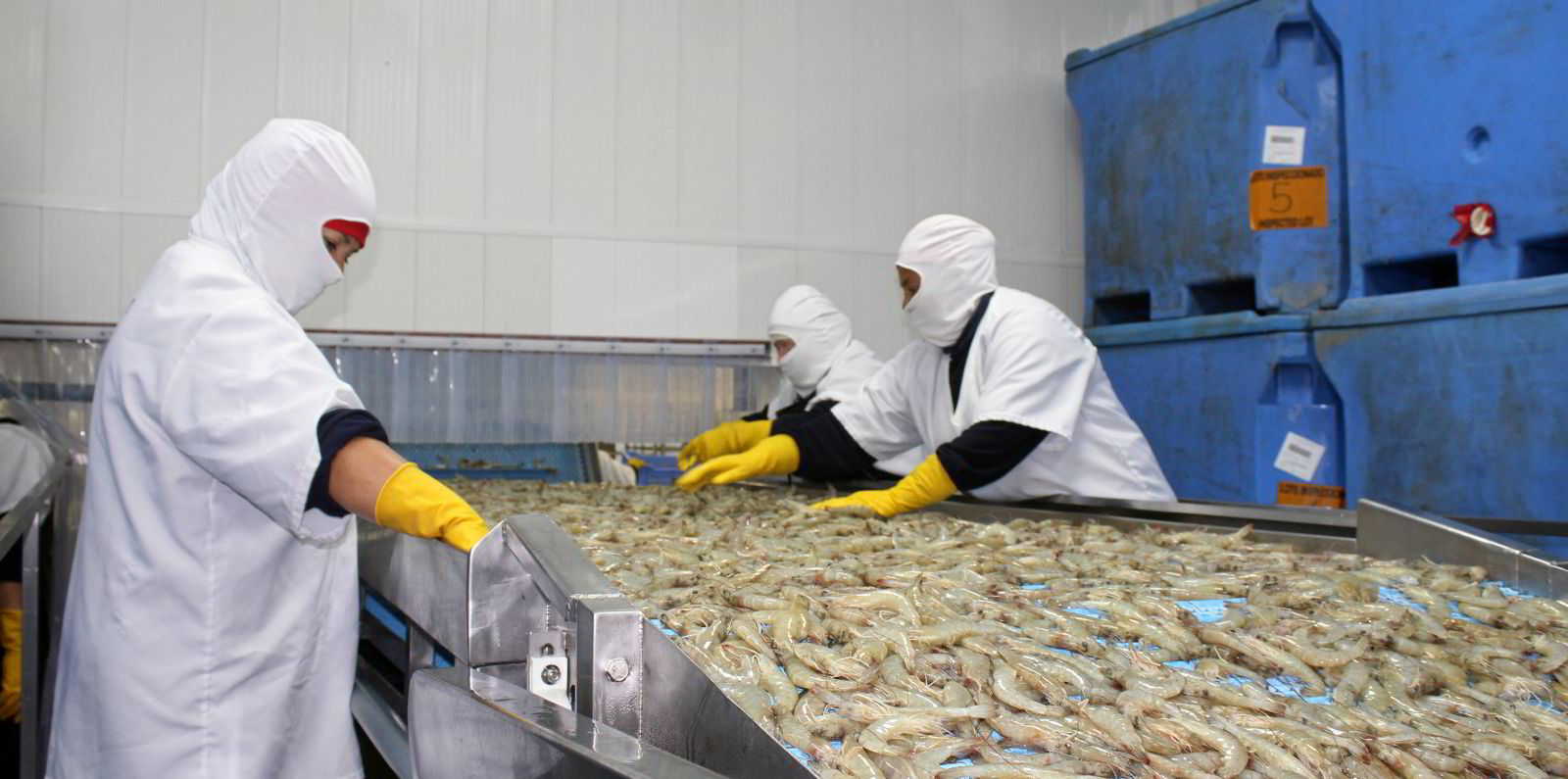 Ecuador shrimp exports power on in April | IntraFish.com