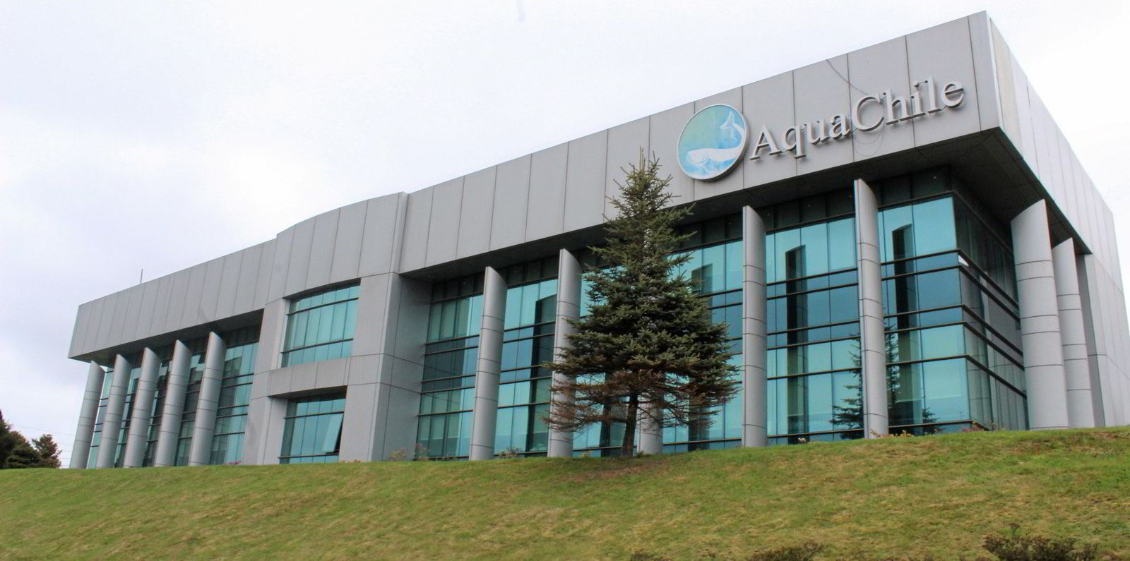 Chile salmon giant AquaChile tops $1 billion in revenue, swings into ...