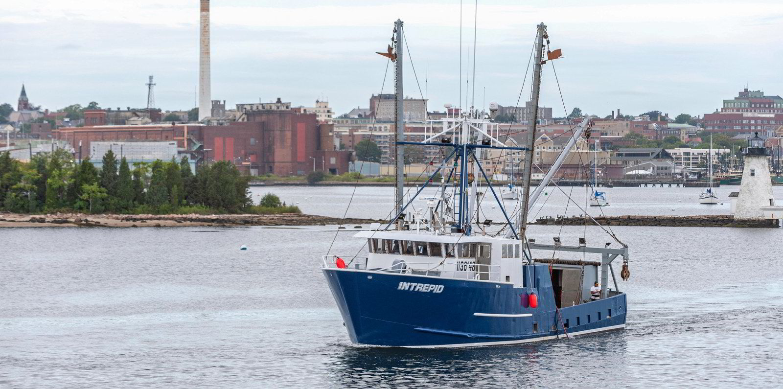 US regulators finalize Atlantic scallop start date, harvest rules ...
