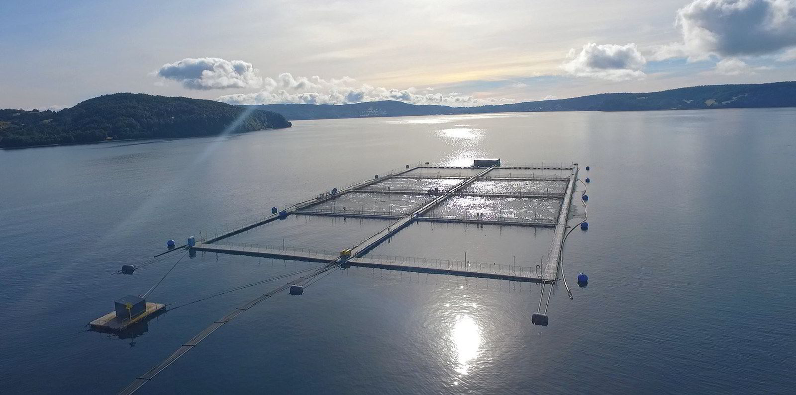 Is Chile the next salmon farming play for JBS? | IntraFish.com