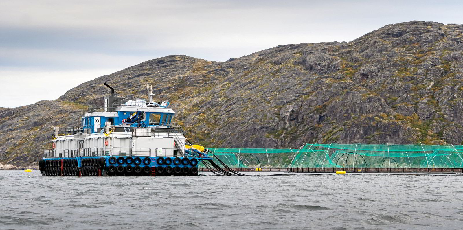 Russland øker produksjonen av oppdrettet laks og ørret | IntraFish.no