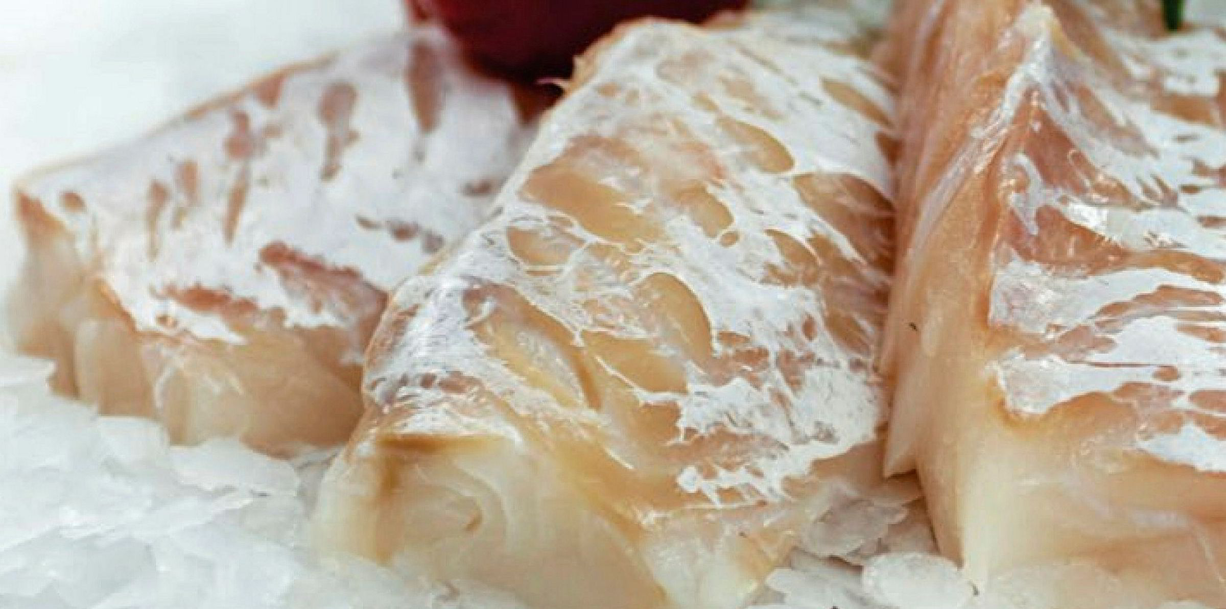 Polish seafood processor expands former Wilbo plant, eyes Norway ...