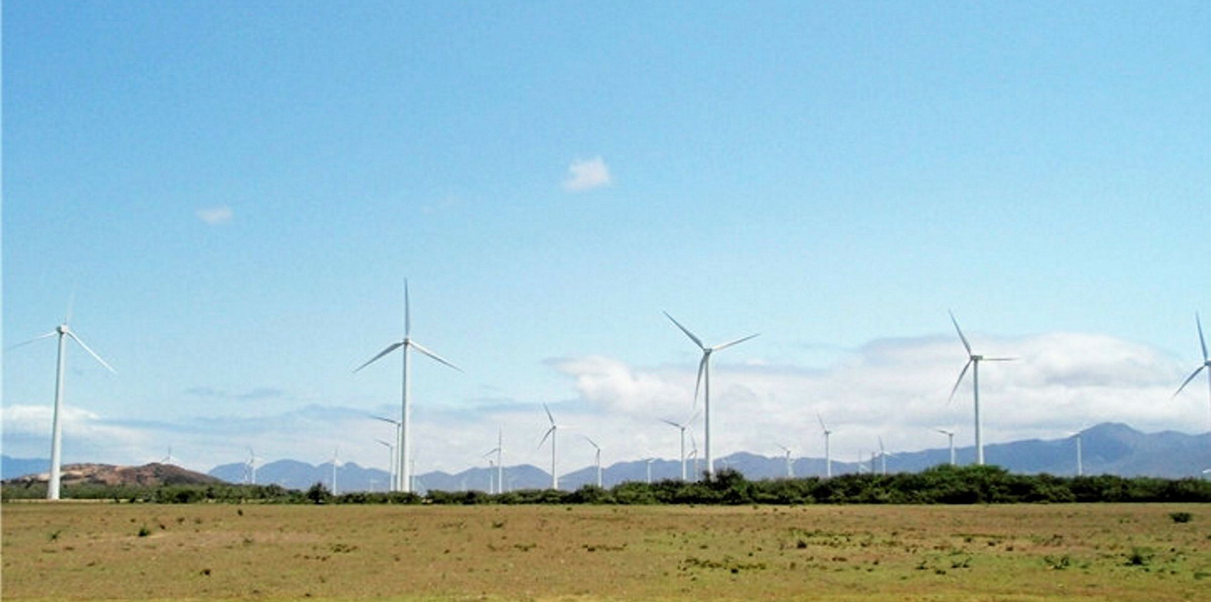 Siemens Gamesa tackles wind supply chain emissions in net-zero strategy ...