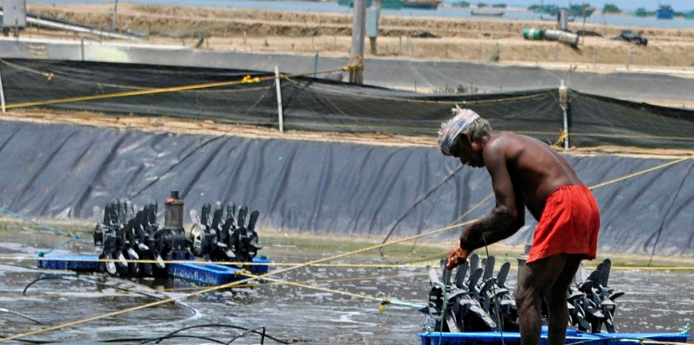 Tech startup extends help to Indian shrimp farmers navigating bleak new ...