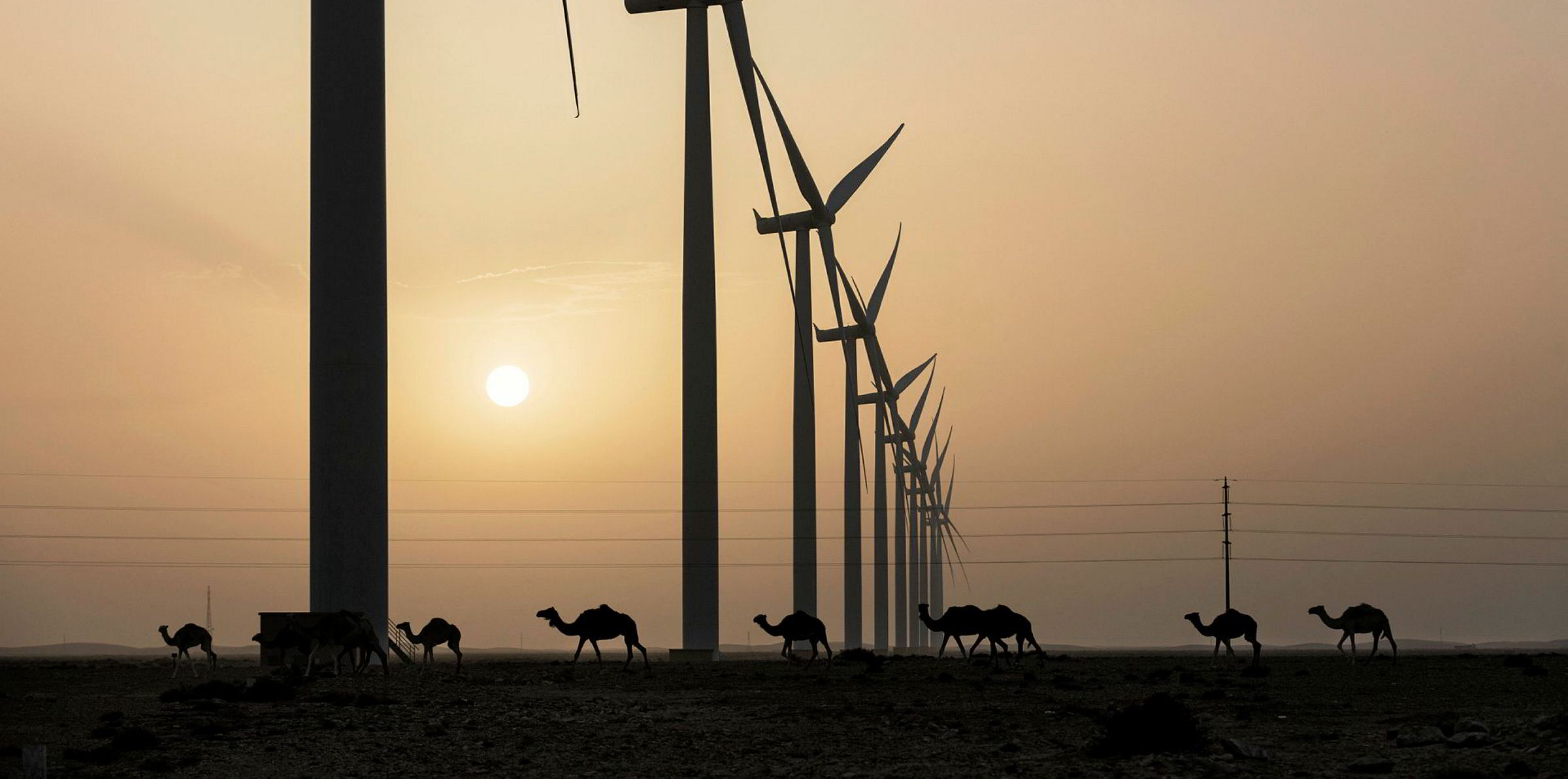 International group signs deals for 500MW Egypt wind farm | Recharge