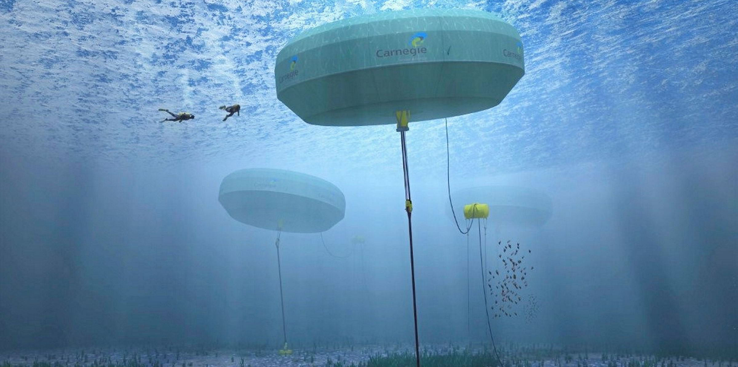 Enel pumps $1.2m into pioneering Carnegie wave power device | Recharge