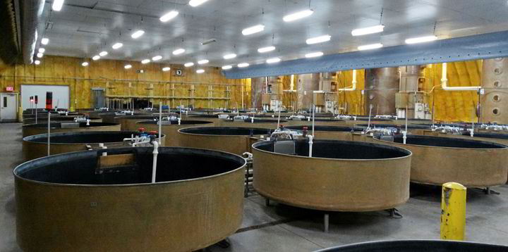 Analysts: AquaBounty must now shift from development to ...