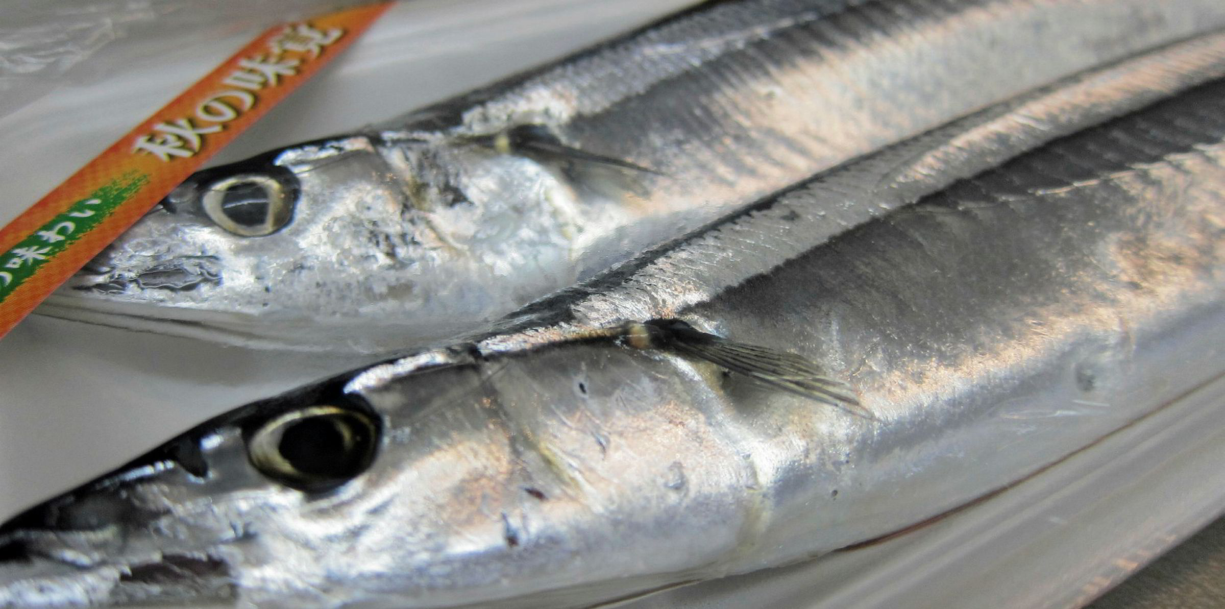 First quota for saury passed by North Pacific Fisheries Commission ...