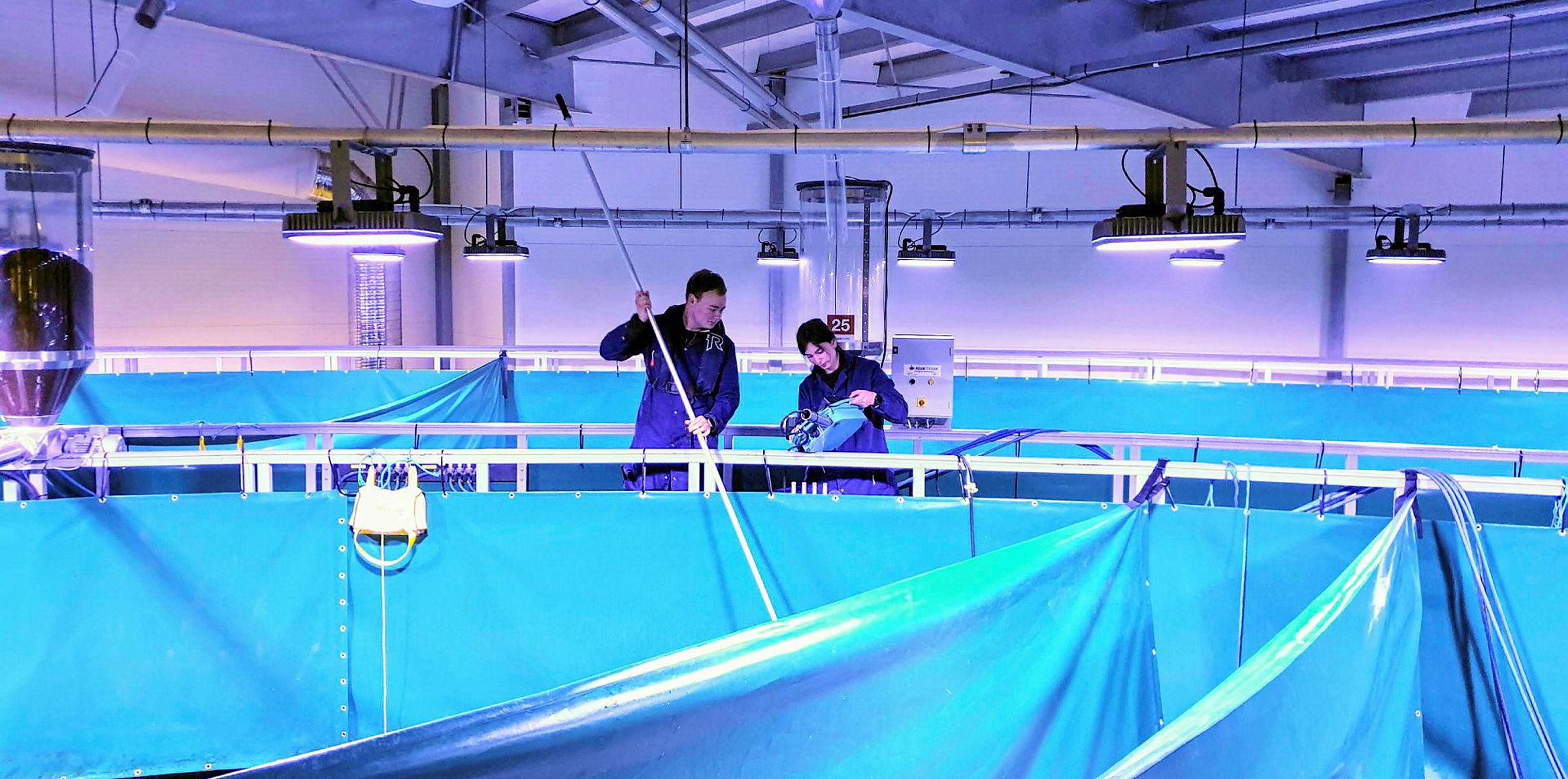 Cermaq CEO questions land-based salmon farming's economic viability ...