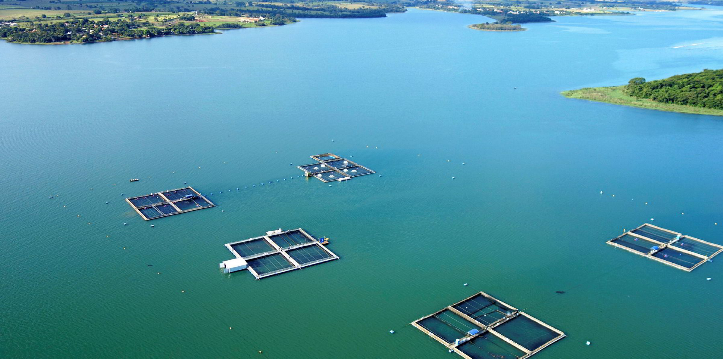 Brazilian tilapia farmer to nearly double production in 2019 ...