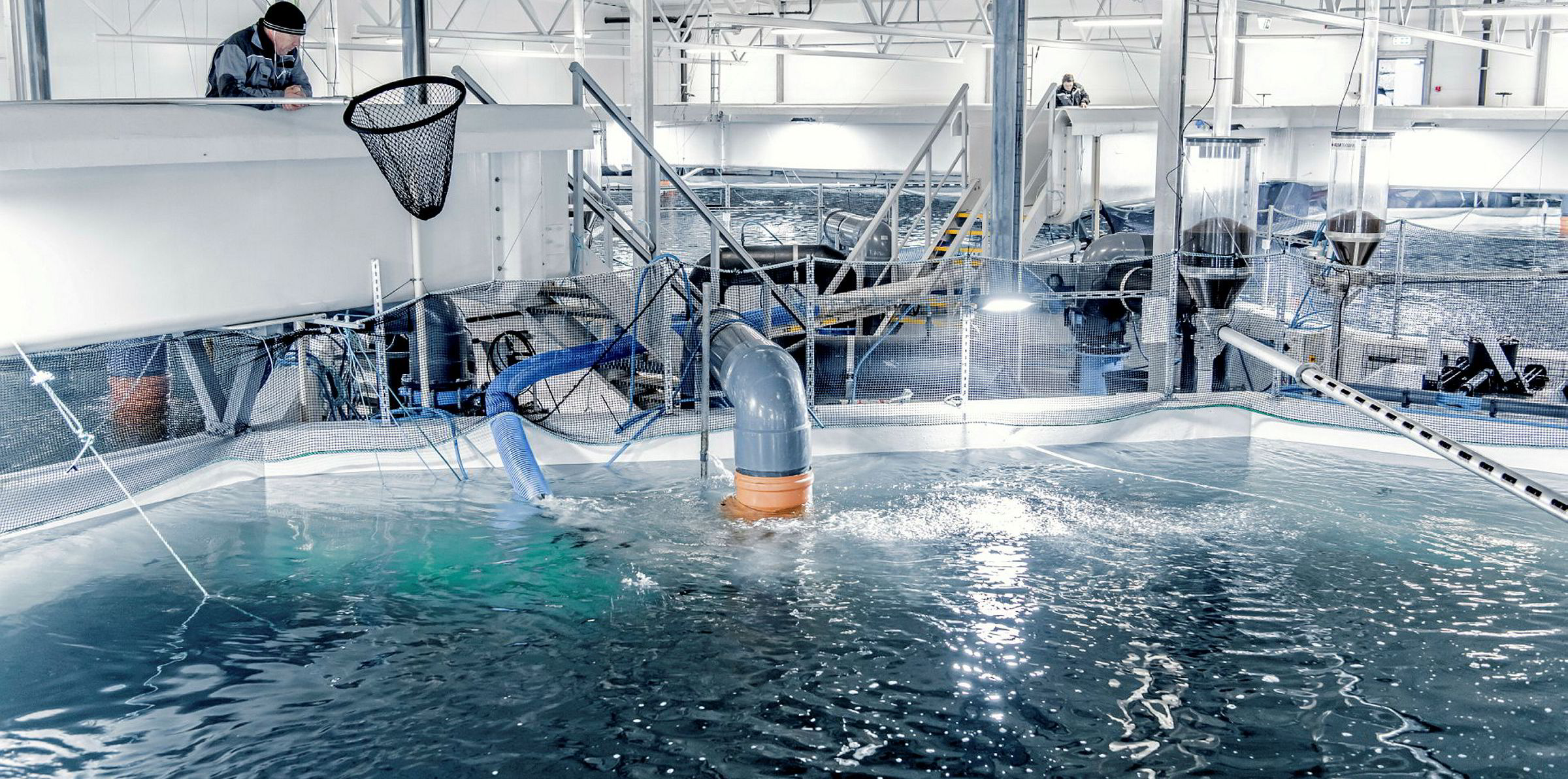 Norwegian money man Frode Teigen plows $100,000 into Akva | Intrafish