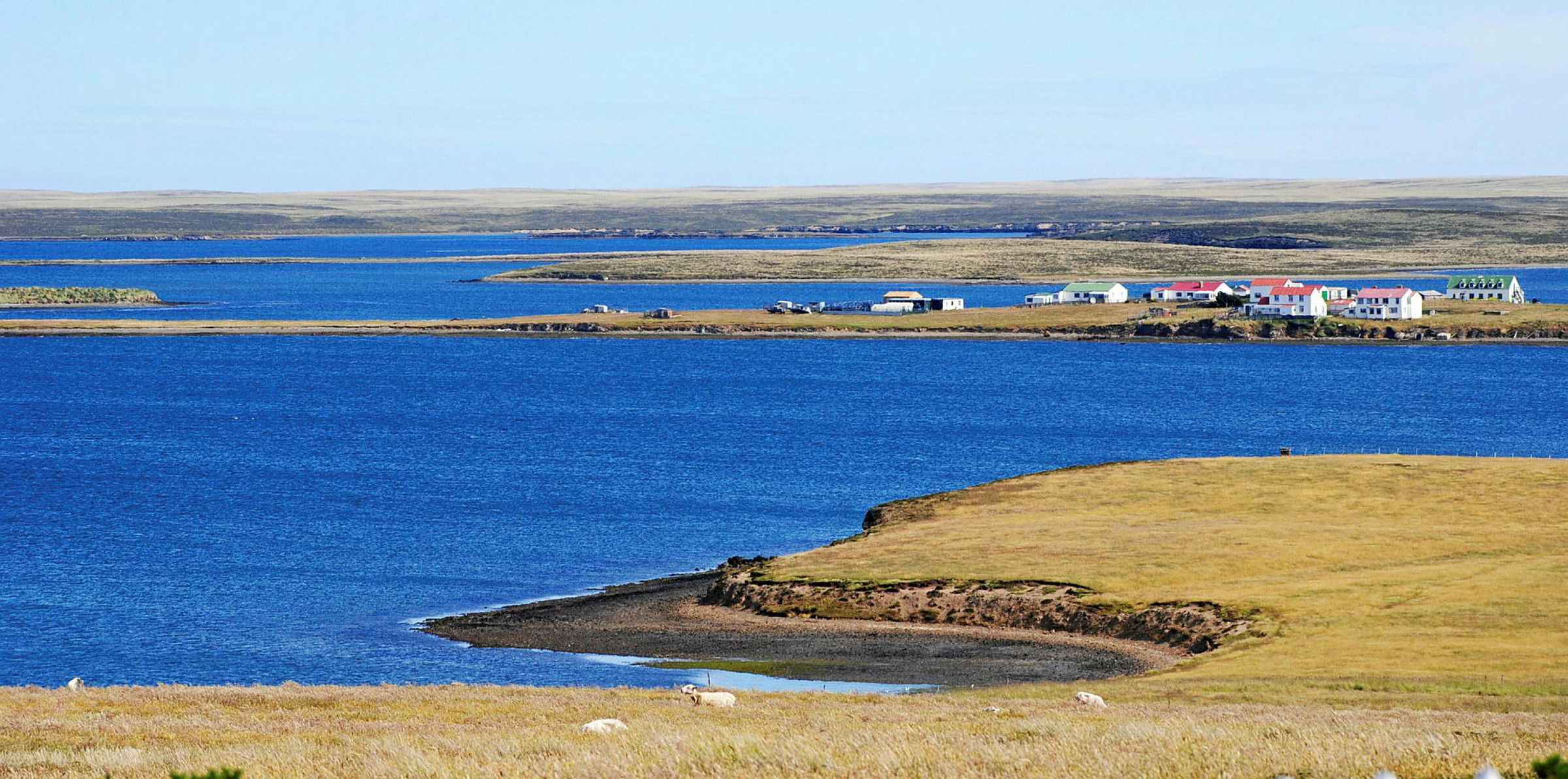 Rockhopper aims to develop Sea Lion on net zero emissions basis ...