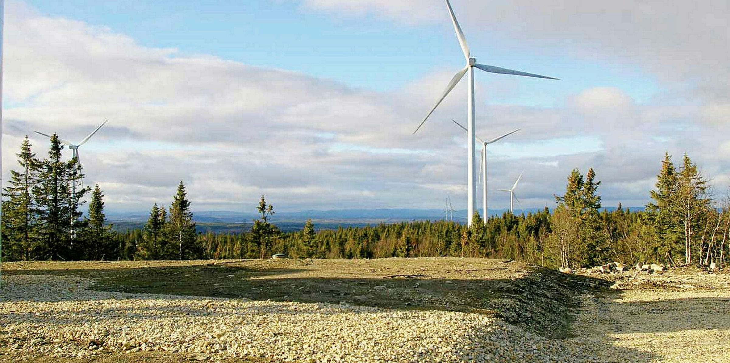 WPD denies sales rumours | Recharge