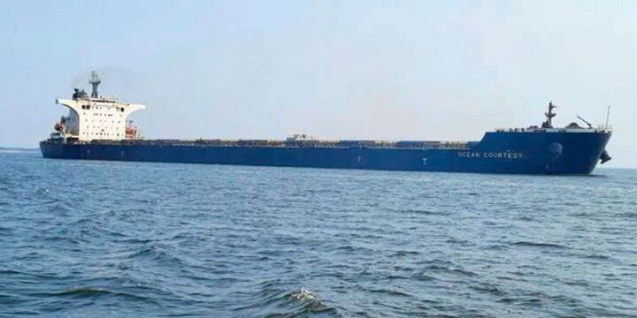 Jinhui Shipping steps up capesize expansion with secondhand deal | TradeWinds