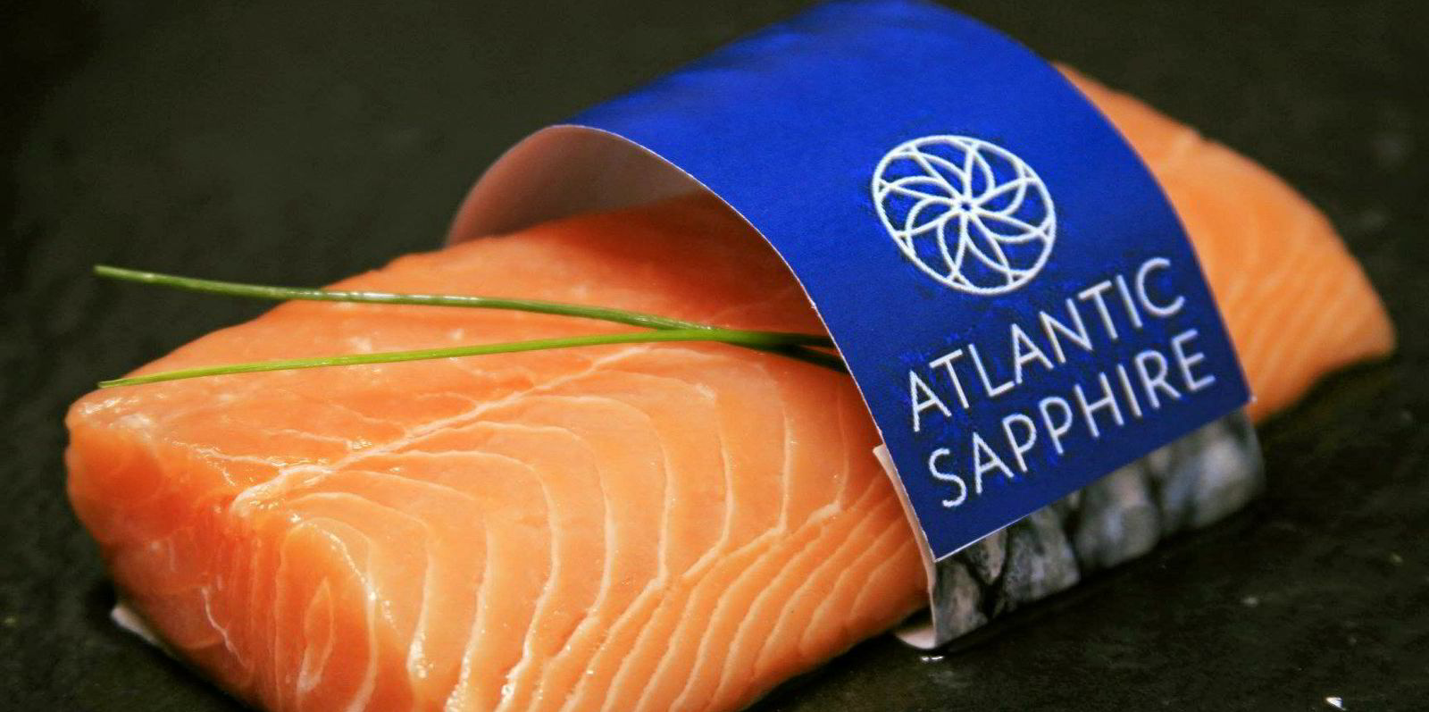 Swedish land-based salmon farmer is the latest to deploy 'circular ...