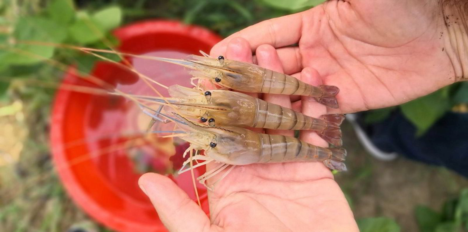 This biotech startup says it has the solution for building a new ...