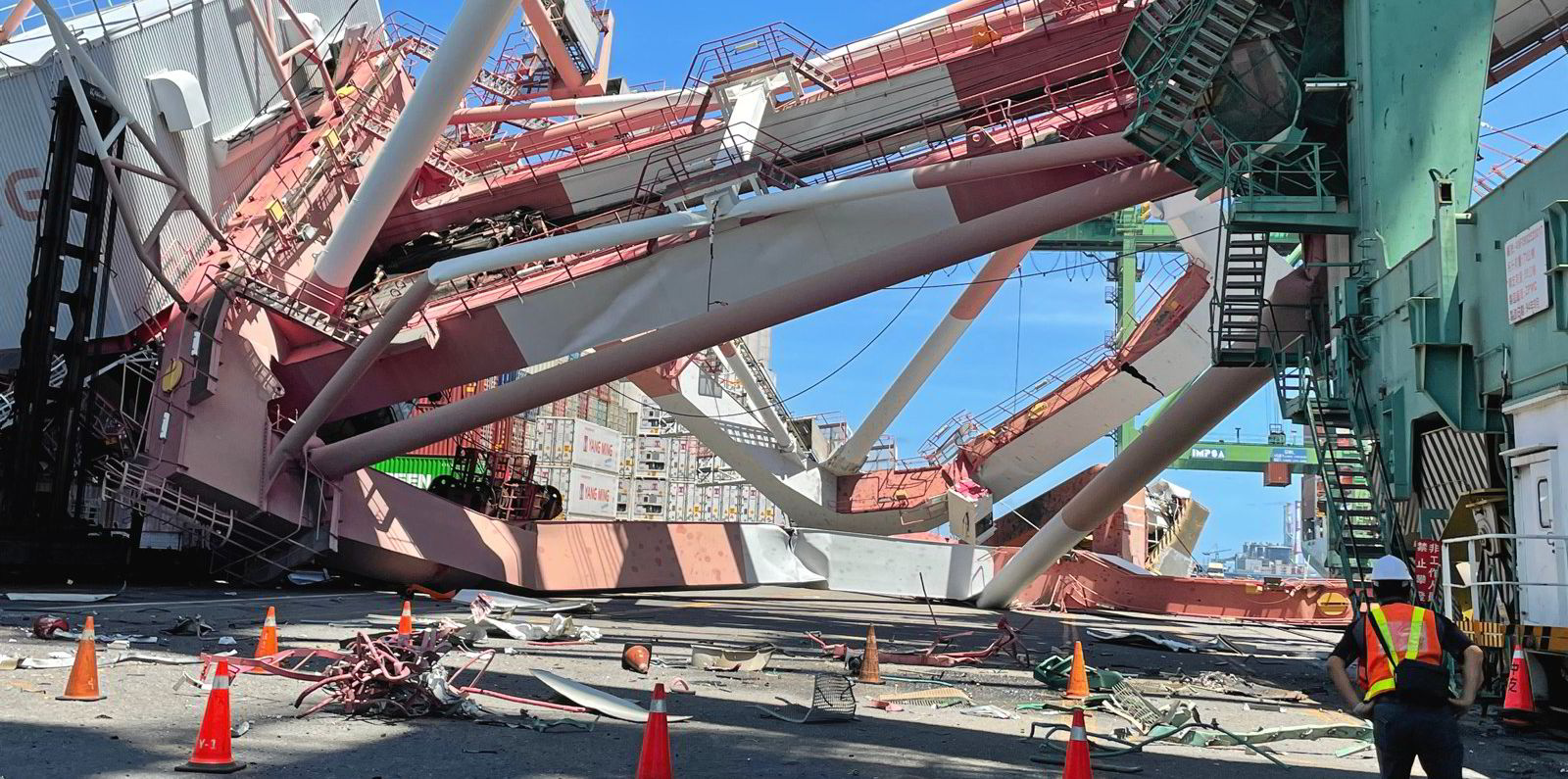 Rise in port handling errors hitting seafood firms where it hurts ...